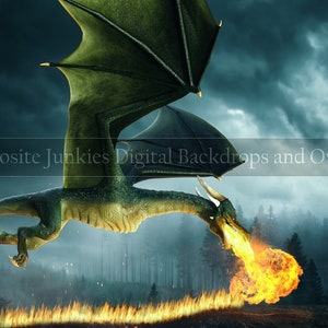 Dragon Digital Background Backdrop for Composite Imagery | Fire ...