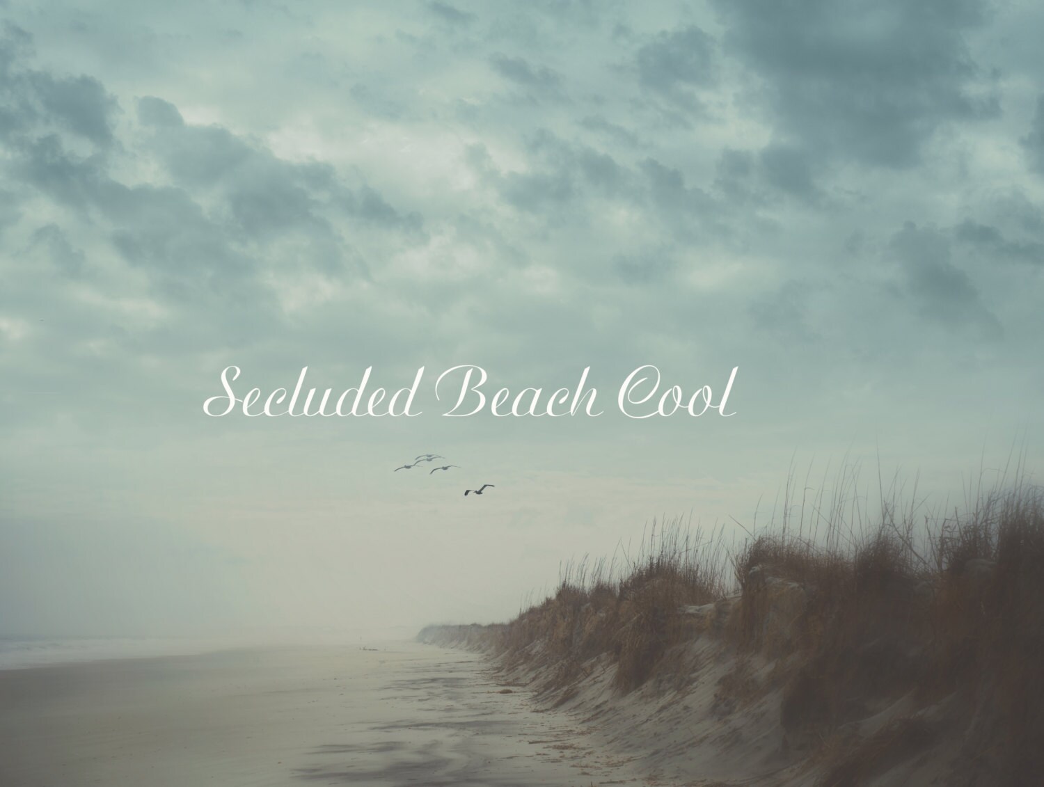 Two Premade Digital Backgrounds Secluded Beach cool and - Etsy