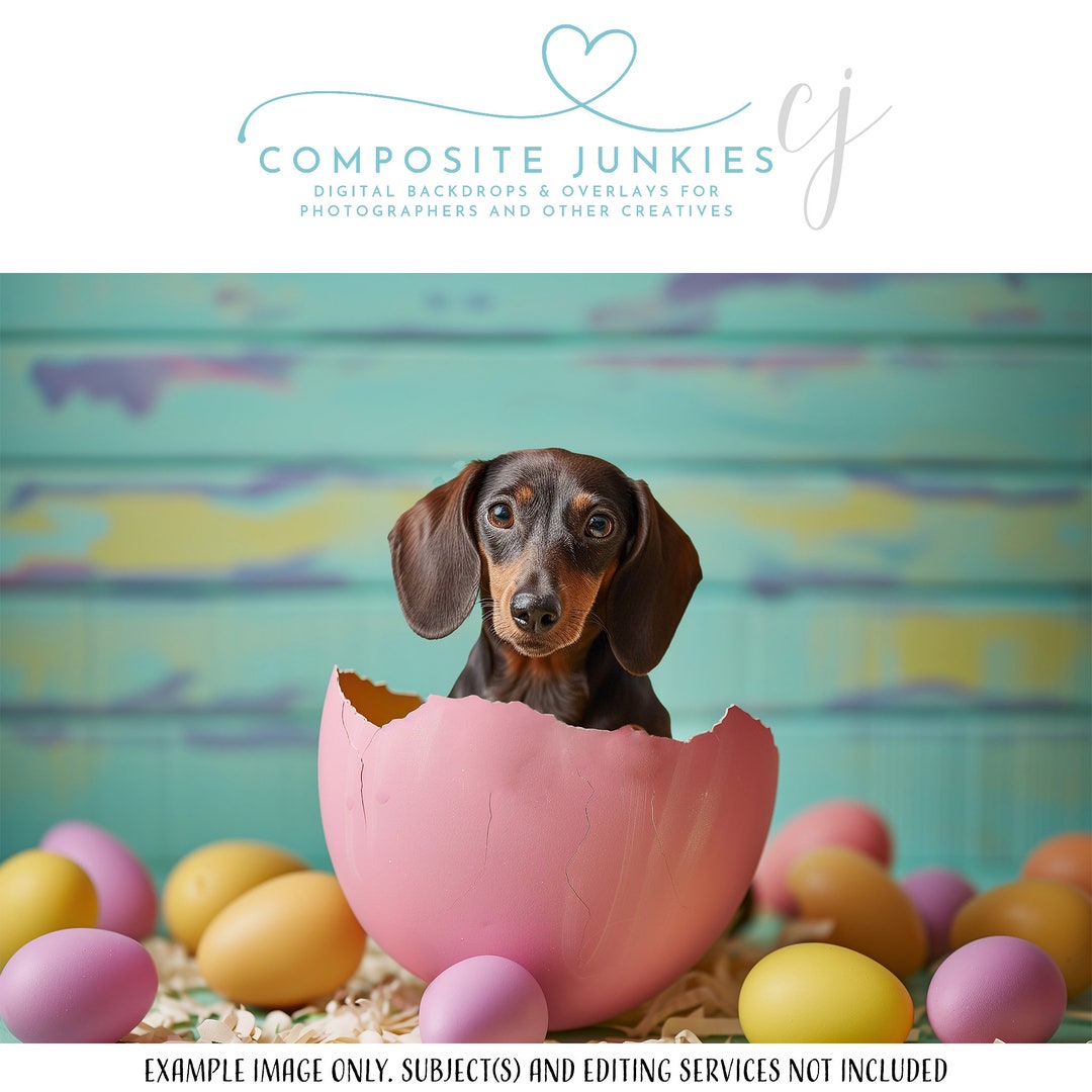 Custom Pet Portrait Easter Digital Backdrop, Photography Background ...