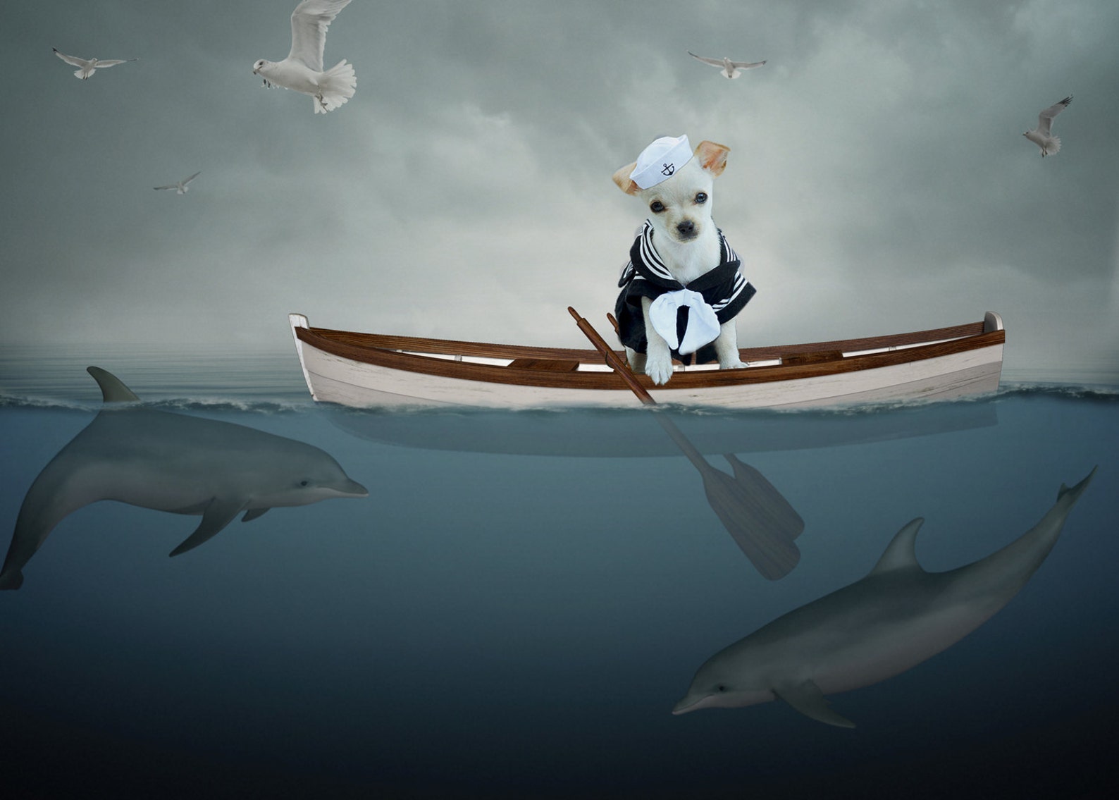 White Row Boats PNG Overlays {PREMIUM} - Etsy