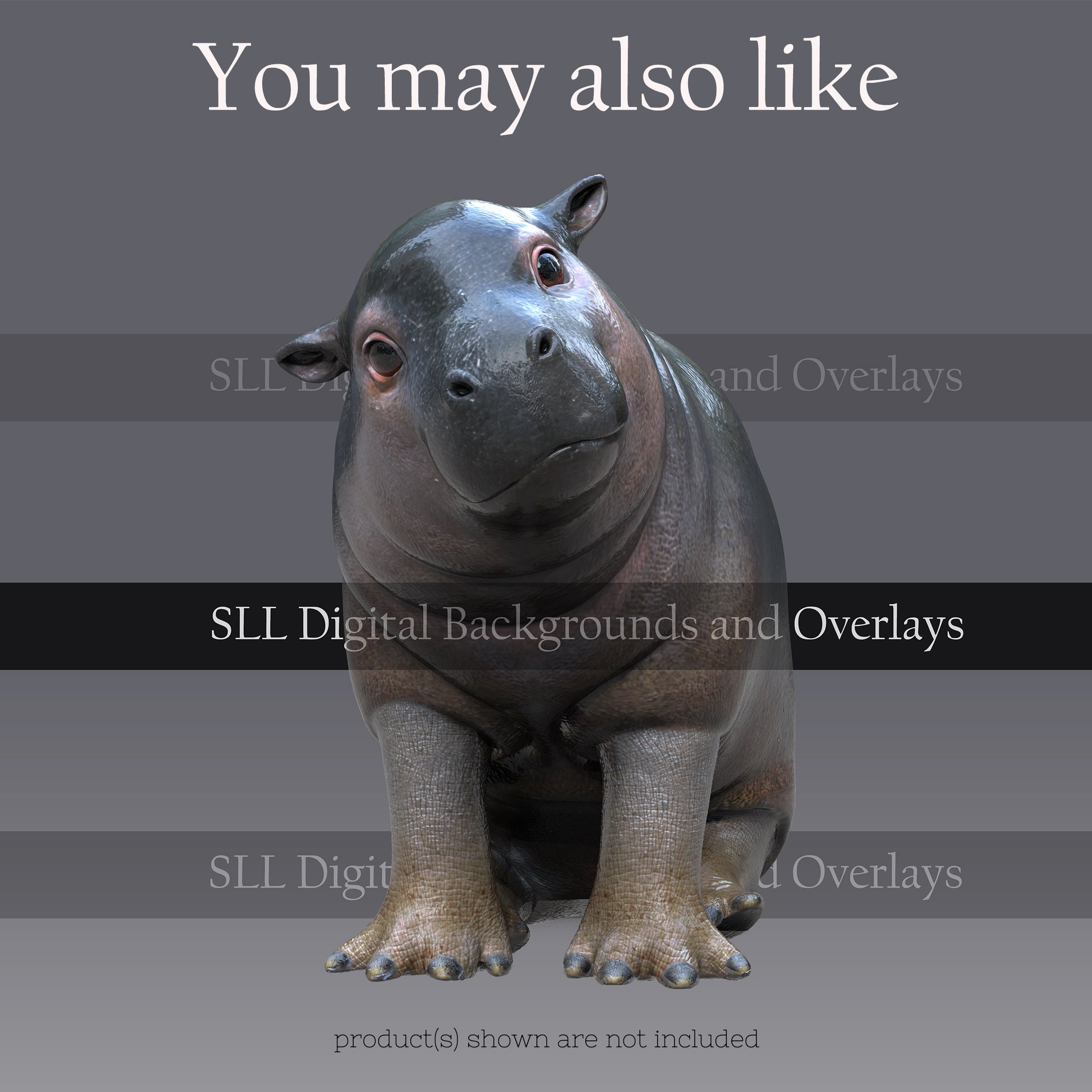 Hippo Dancing in Tutu Digital Background for Composite Imagery | Etsy