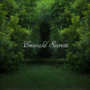 Emerald Secrets Premade Digital Background - Etsy