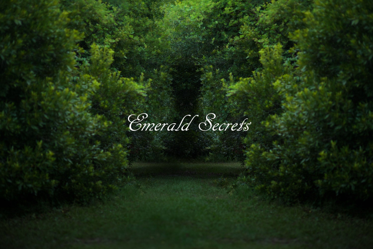 Emerald Secrets Premade Digital Background - Etsy