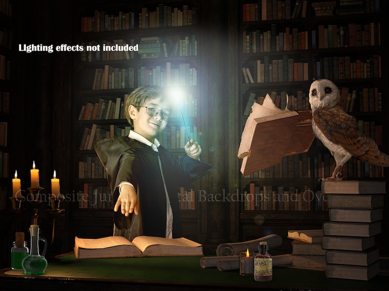 Wizard Digital Backdrop Background Library Digital Backdrop - Etsy