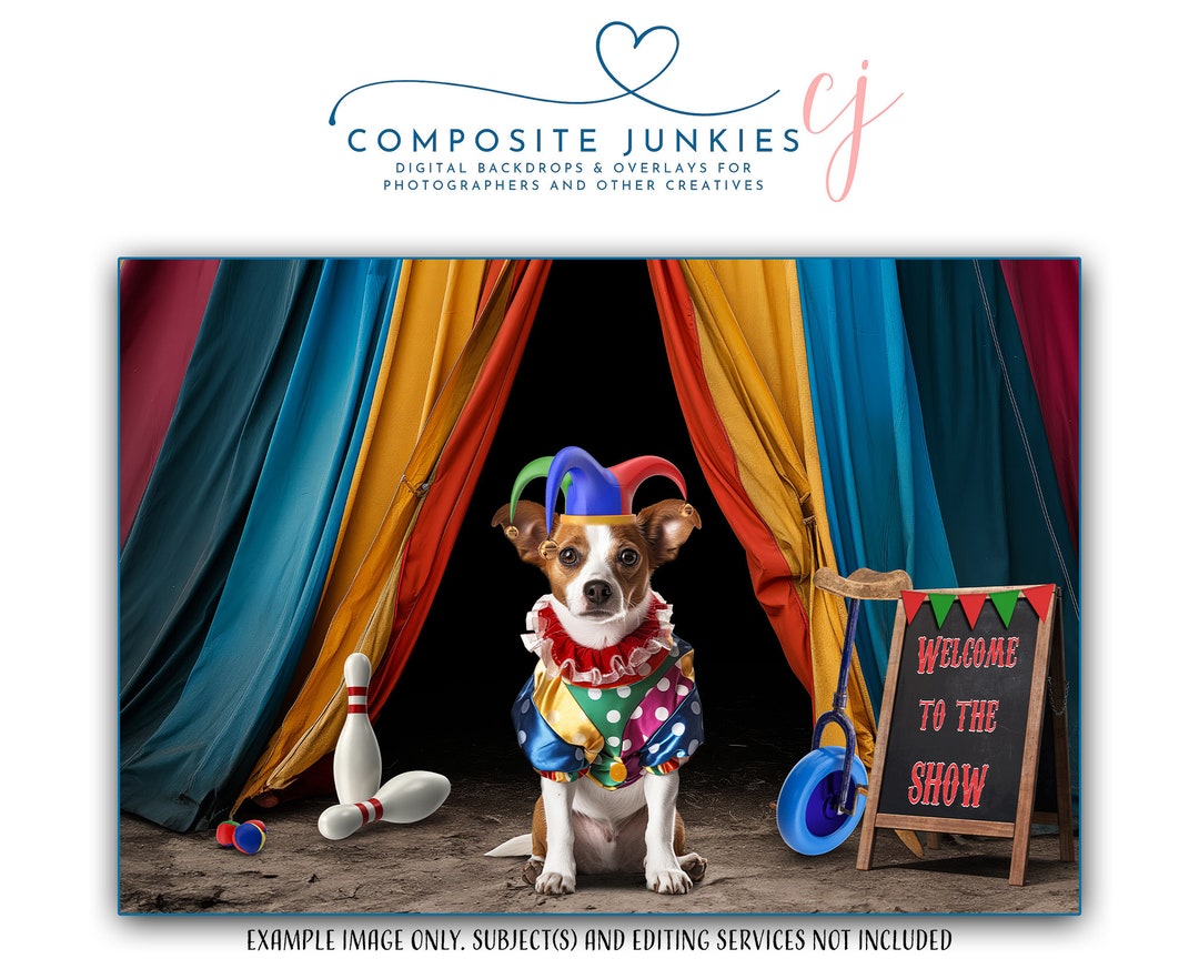 Jester Pet Portrait Digital Backdrop, Circus Clown Background for Pets ...