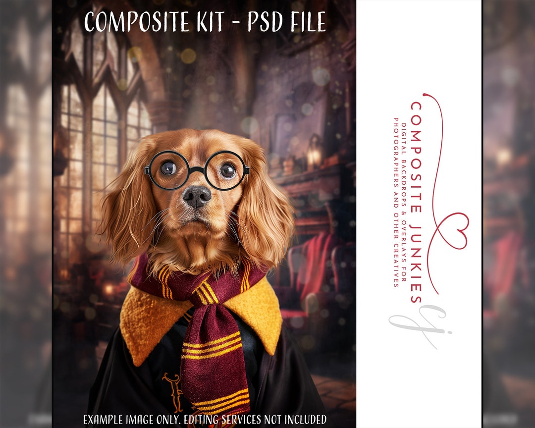 Wizard Pet Portrait for Composite Photography Art, Funny Pet Backdrop ...