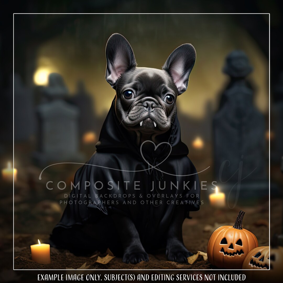 Vampire Halloween Pet Portrait Digital Photography Background, Spooky ...