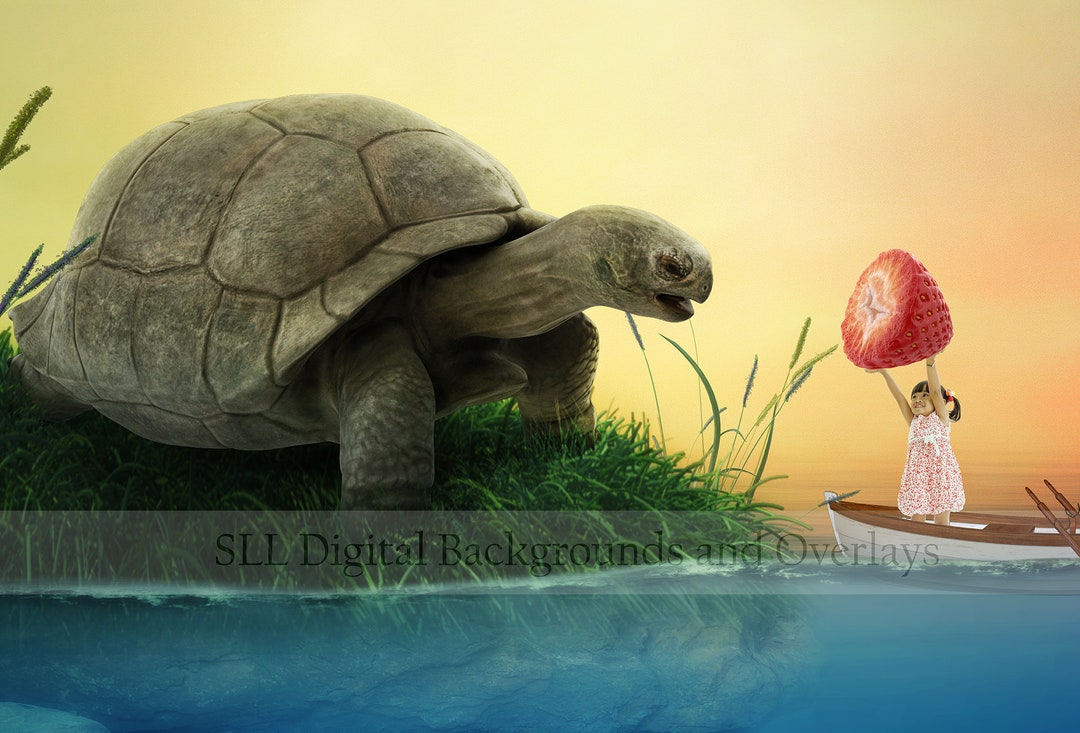 Turtle Digital Backdrop, Turtle Background, Instant Download ...
