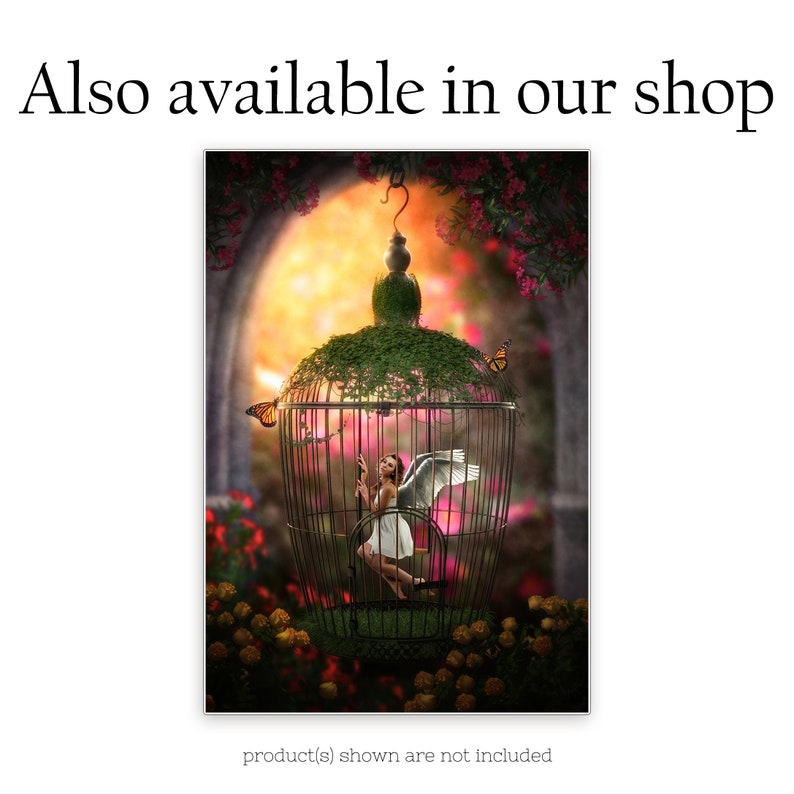 Pixie Riding a Snail Digital Background for Composite | Etsy