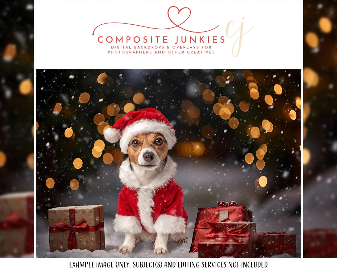 Santa Claus Christmas Pet Portrait Backdrop - Festive Digital ...