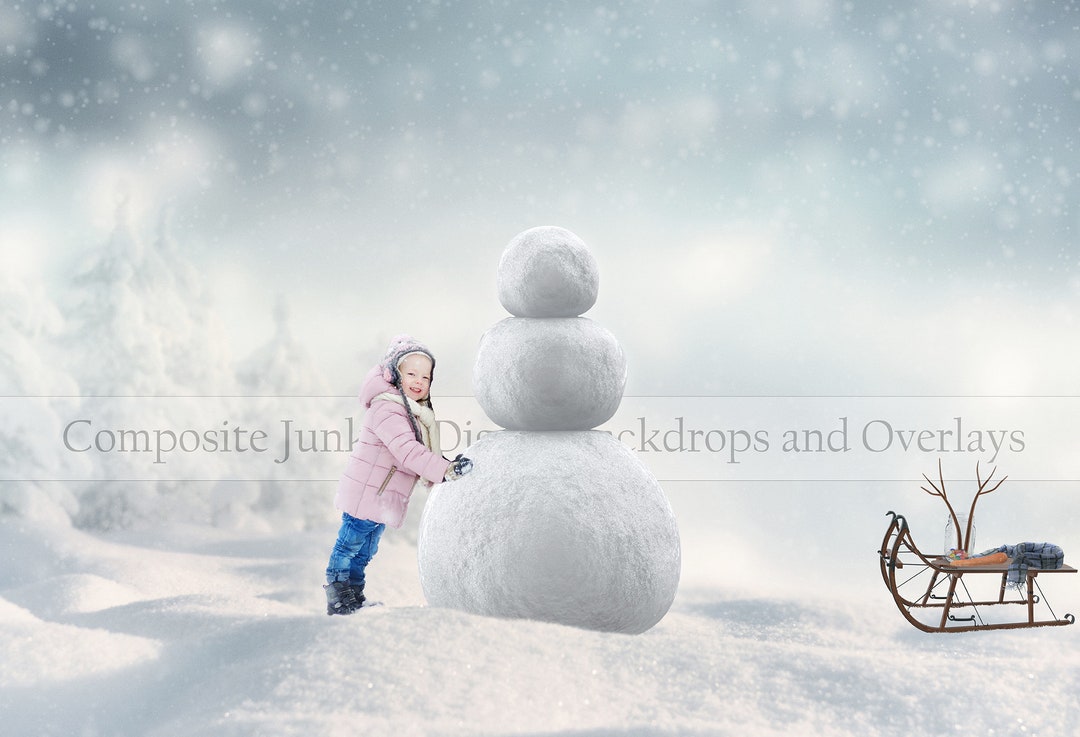 Snowman Digital Backdrop With SLED - Winter Backdrop - Digital ...