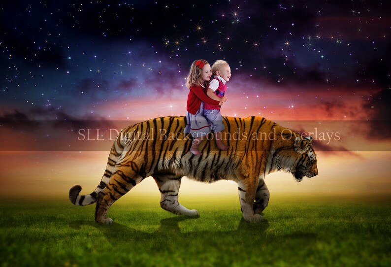 Tiger Digital Backdrop Digital Background PREMIUM - Etsy