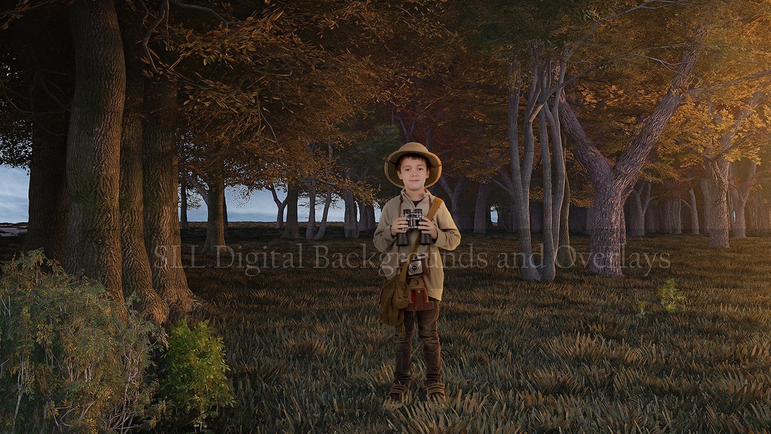 Forest Digital Background Woods Digital Backdrop Composite Image Image ...