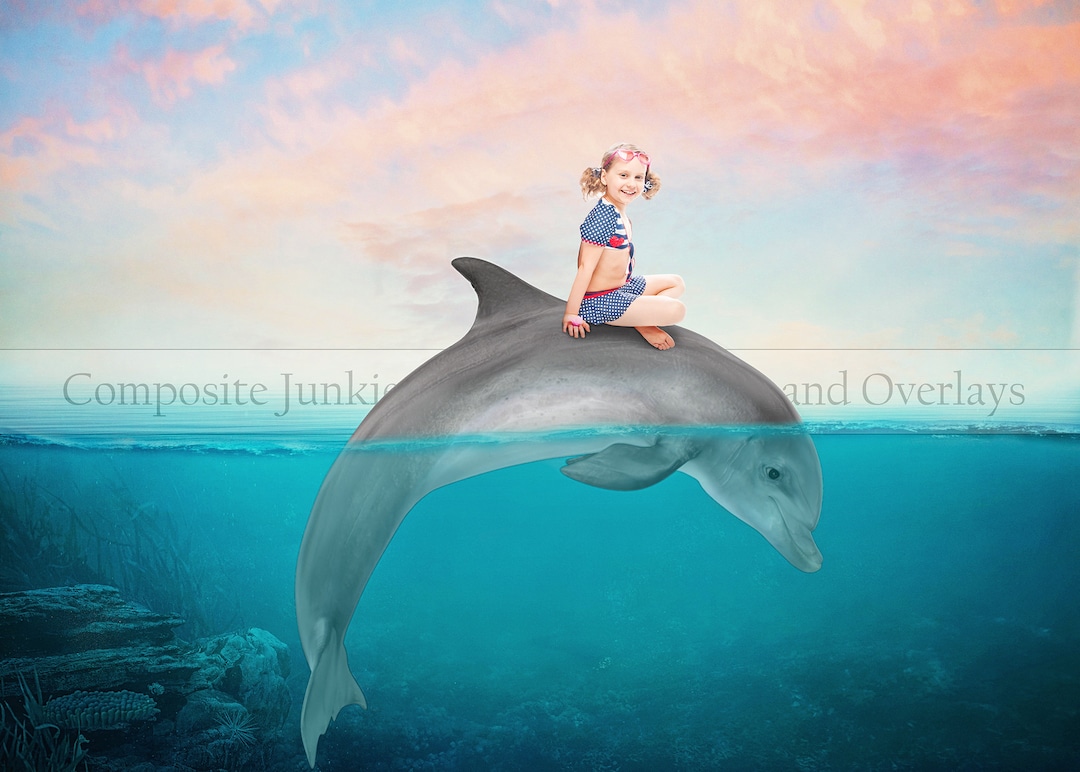Dolphin Backdrop for Composite Imagery - Digital Backdrops and Overlays ...