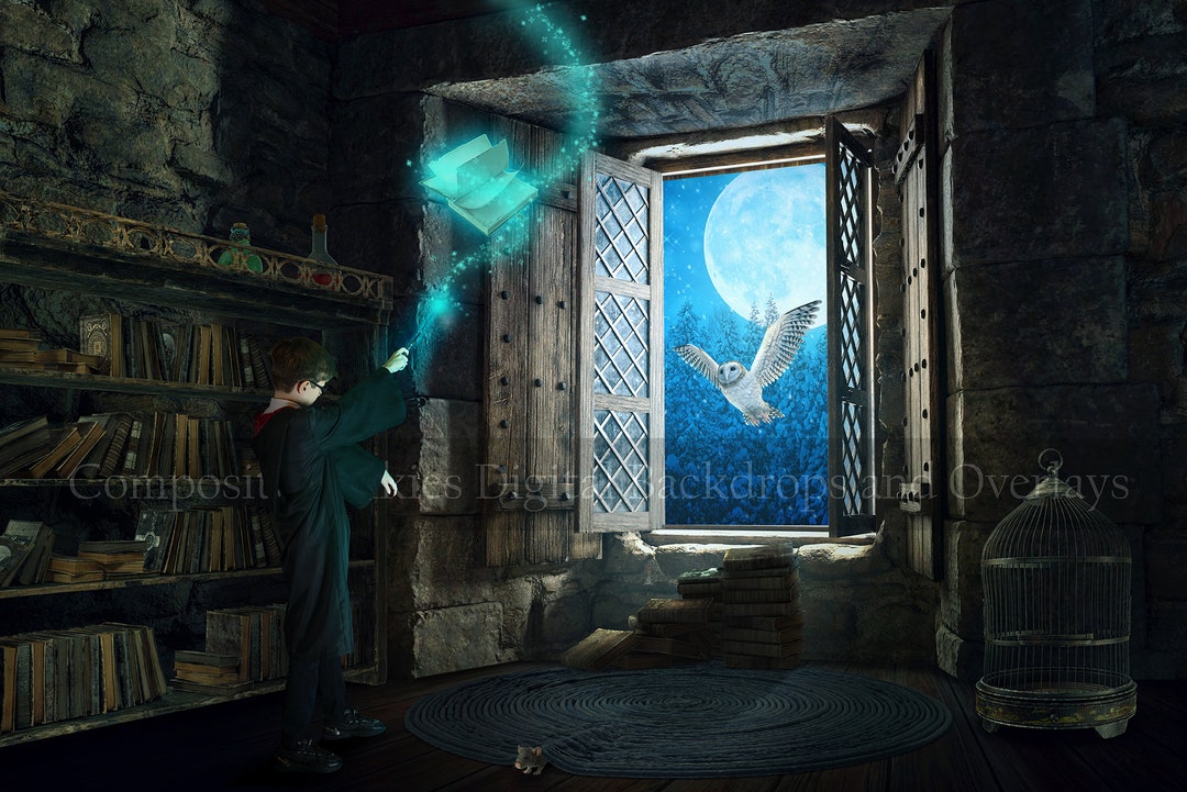 Wizard Room Digital Backdrop Background - Library Digital Backdrop ...