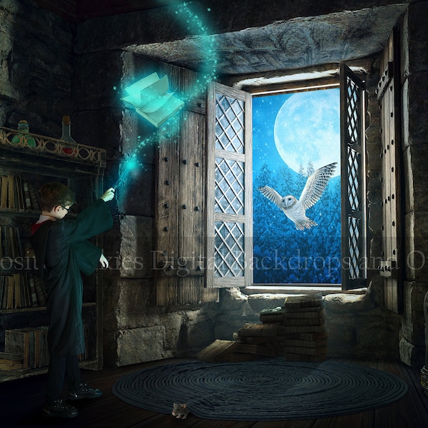 Wizard Library Backdrop - Etsy