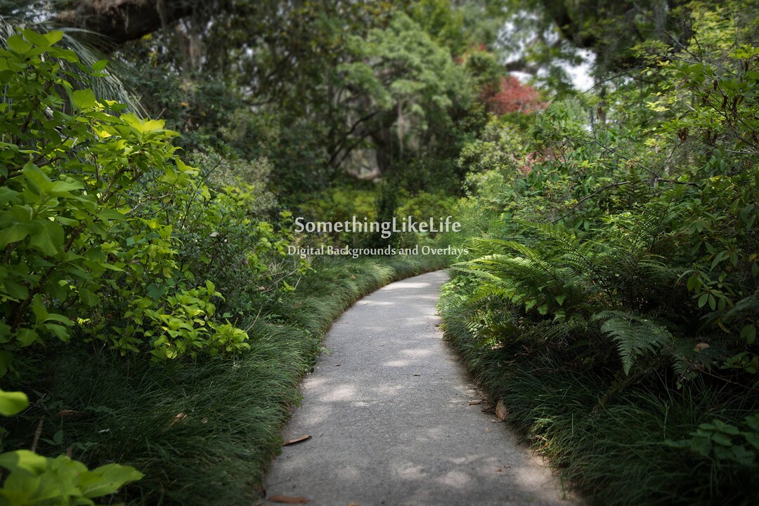 Garden Path Digital Background Backdrop - Etsy