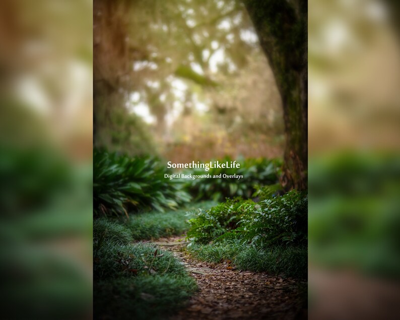 Forest Path Digital Backdrop - Etsy