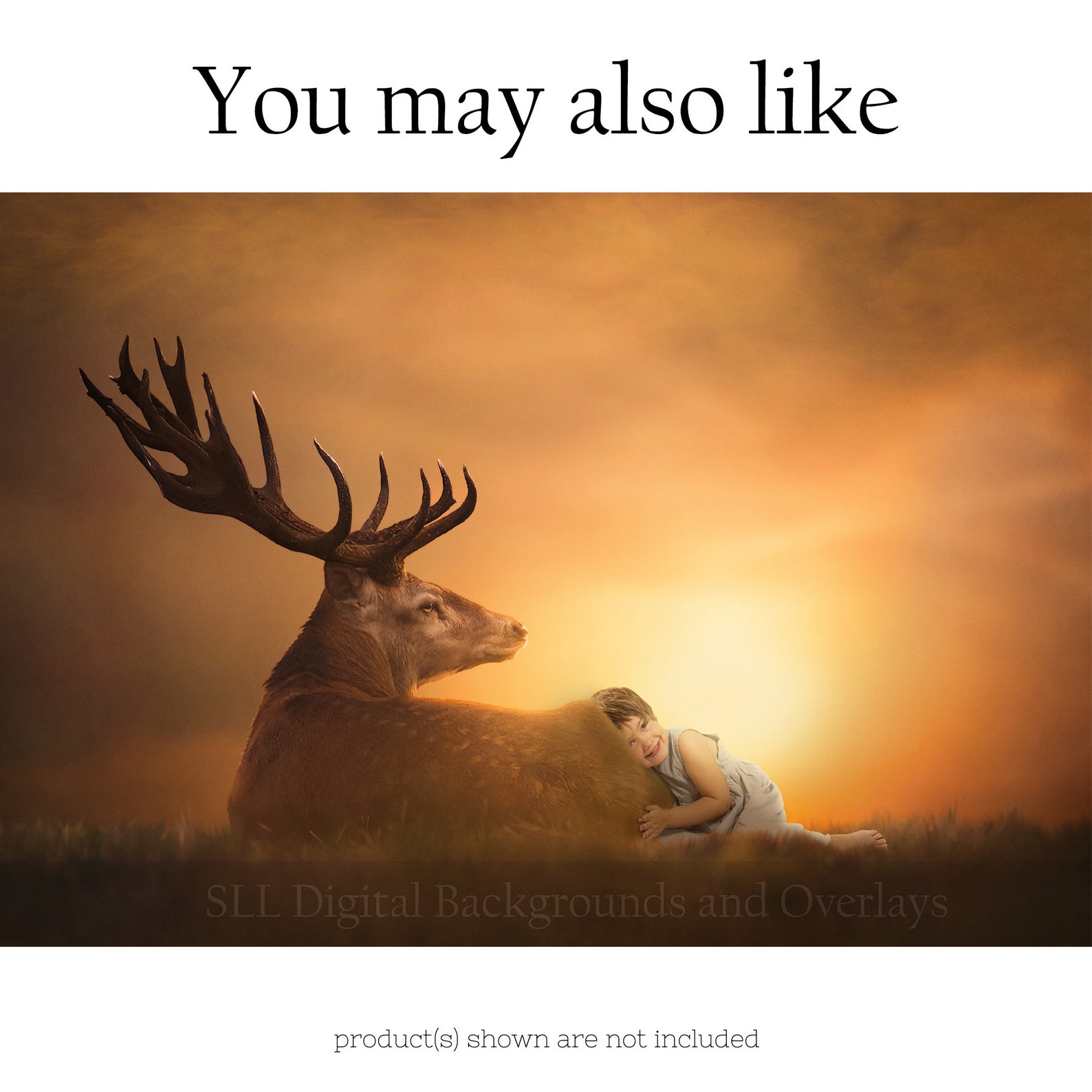 Tiger Digital Backdrop Digital Download Animal Backdrop - Etsy