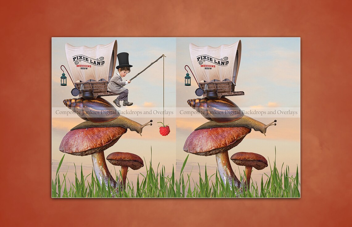 Pixie Riding a Snail Digital Background for Composite | Etsy