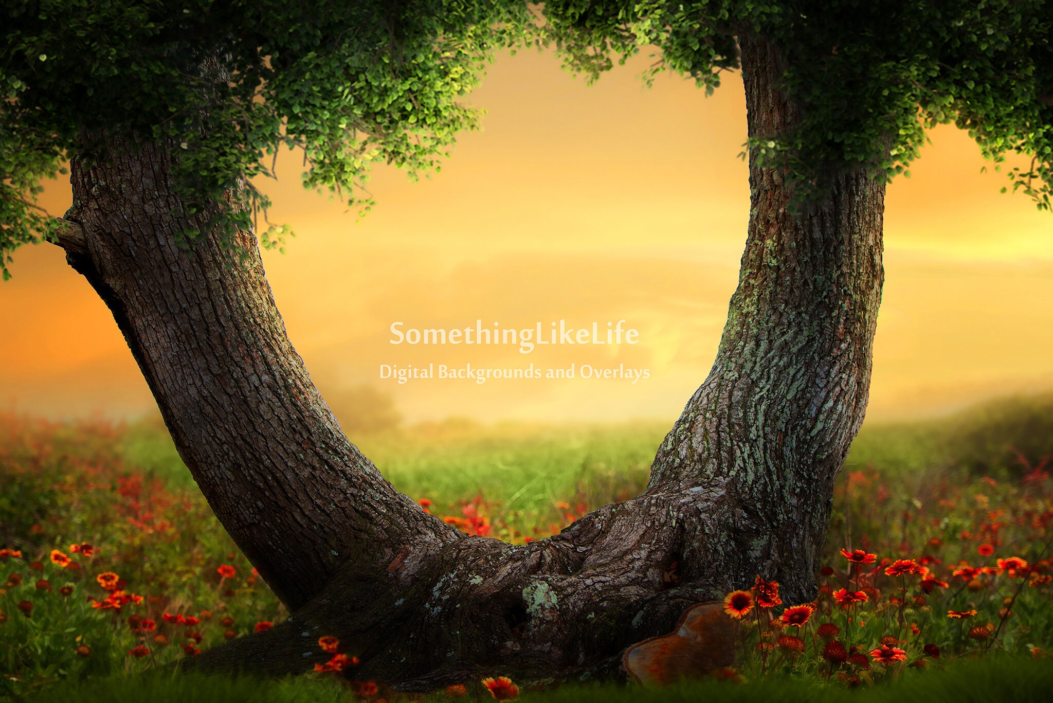 Tree Digital Backdrop Spring Digital Backdrop Sunset Sunrise | Etsy