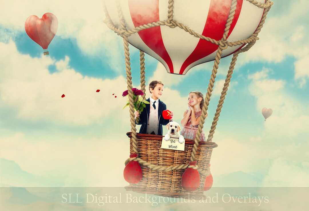 Valentine's Day Digital Backdrop Background for Photographers ...