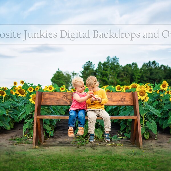 Sunflower Bench - Etsy