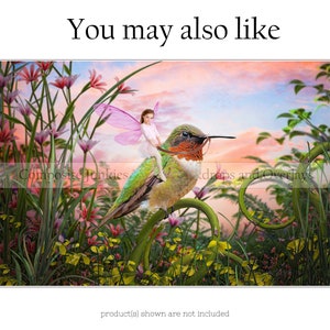 Pixie Riding a Snail Digital Background for Composite Photography ...