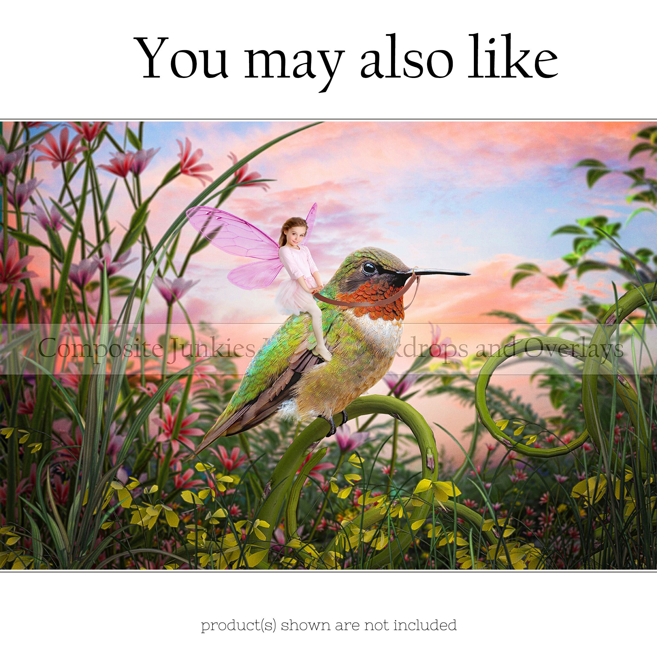 Pixie Riding a Snail Digital Background for Composite | Etsy