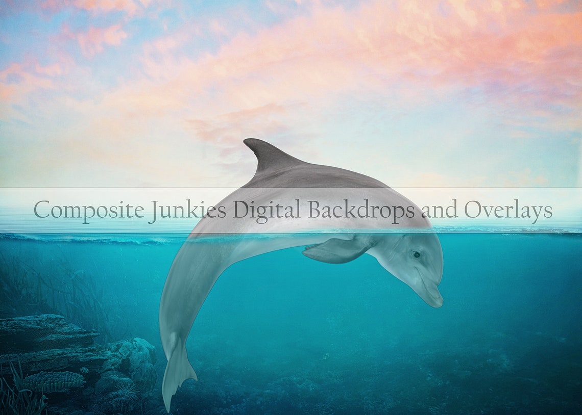Dolphin Backdrop for Composite Imagery - Digital Backdrops and Overlays ...