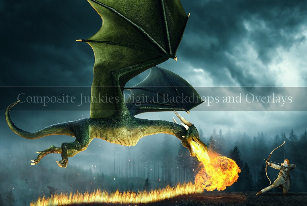 Dragon Digital Background Backdrop for Composite Imagery | Fire ...