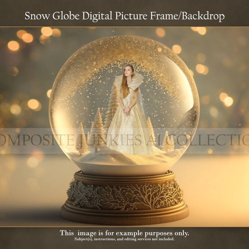 Snow Globe With Picture Insert - Etsy