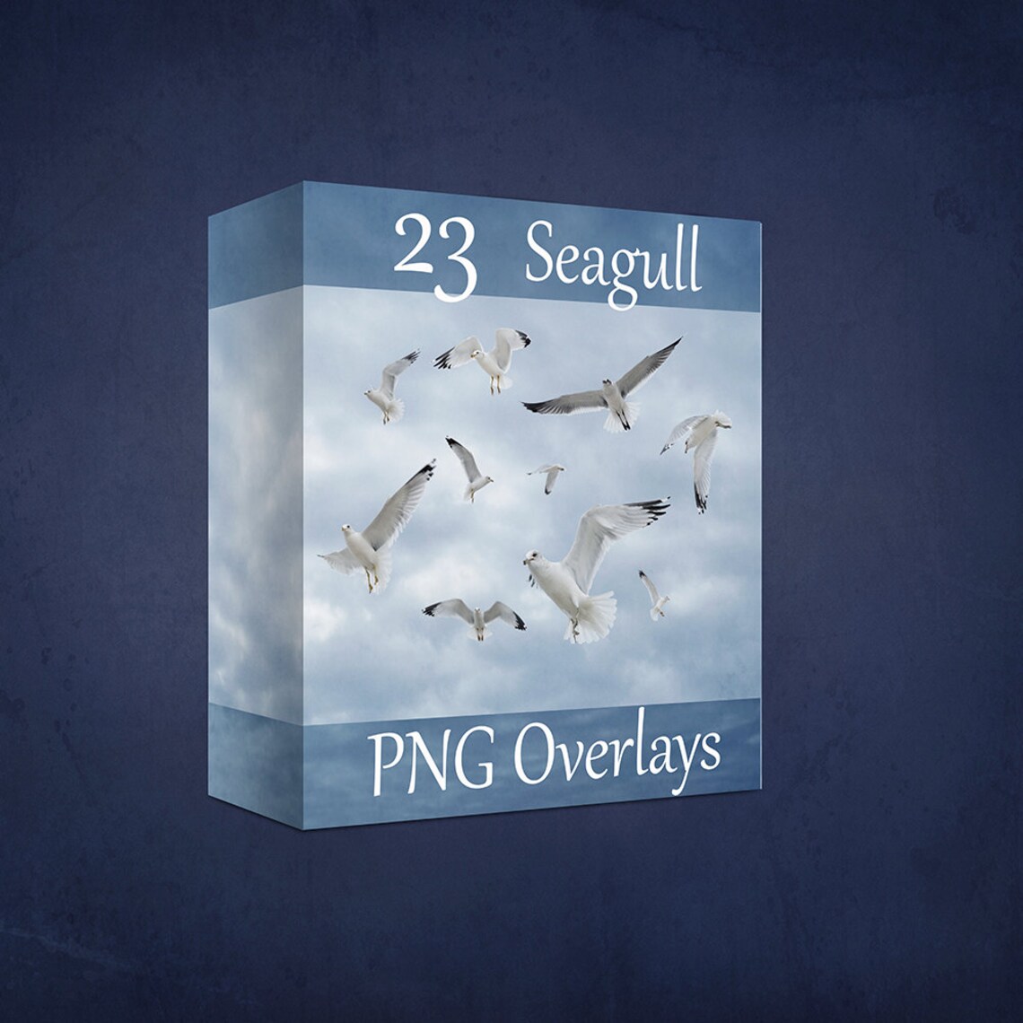 Seagull Overlay, 23 Flying Seagull PNG Digital Overlays - Etsy