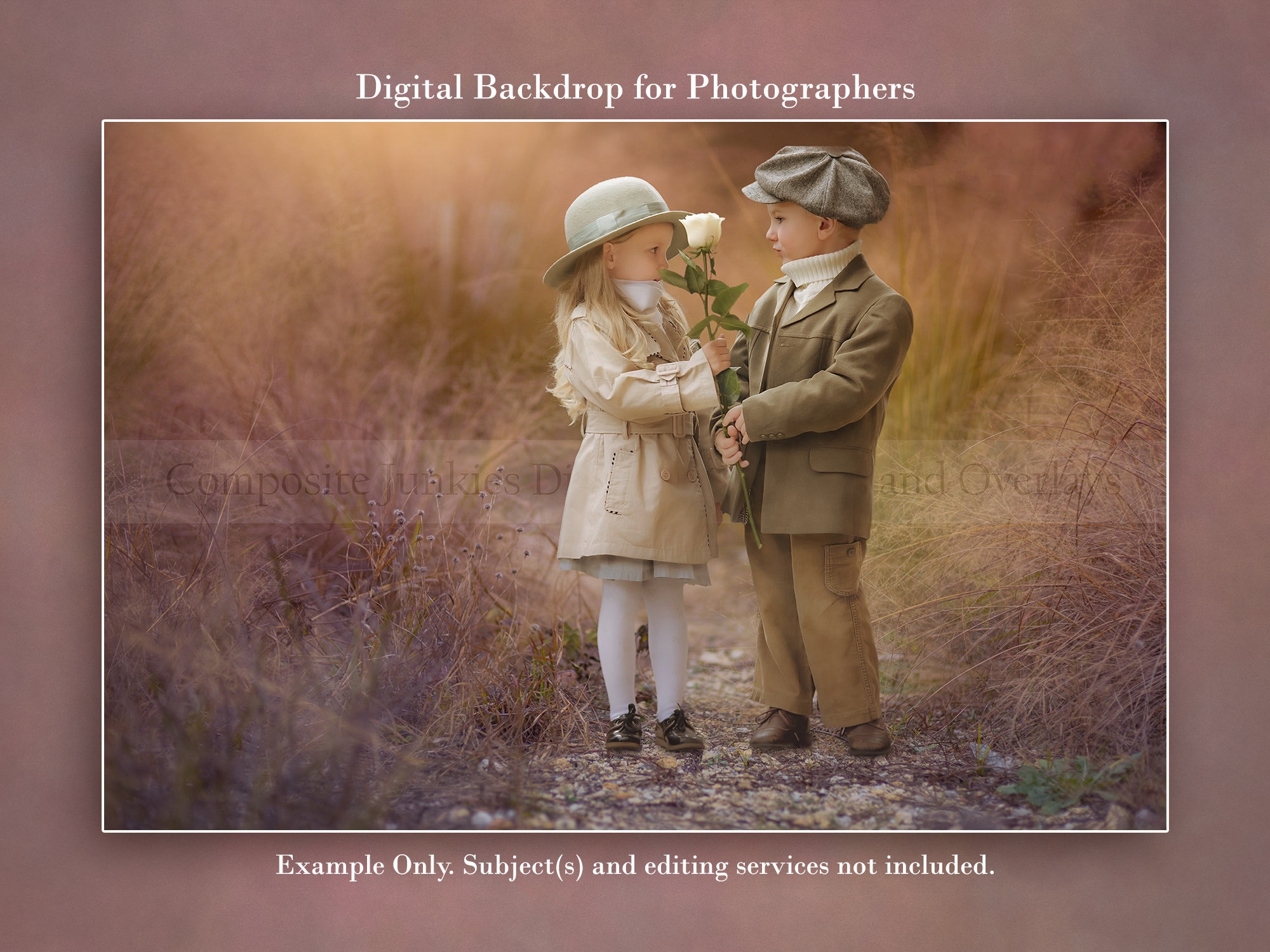 Background Photography Examples
