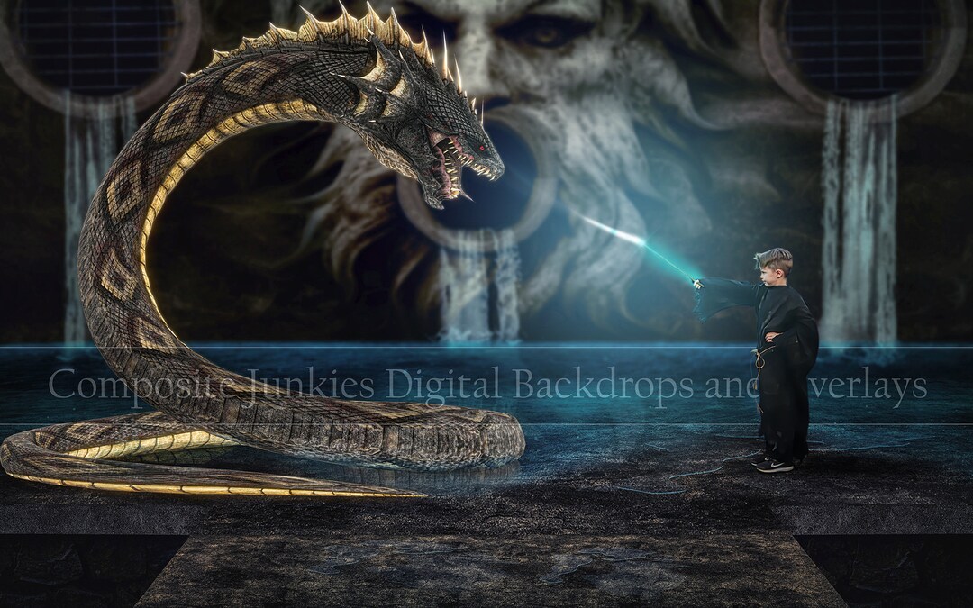 Wizard Fighting Basilisk in Sewer Digital Backdrop Background for ...