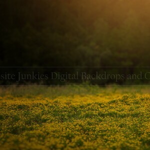 Spring Garden Digital Background | Field of Flowers Digital Backdrop ...