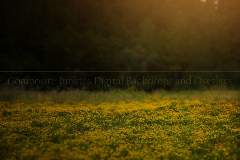 Spring Garden Digital Background Field of Flowers Digital - Etsy