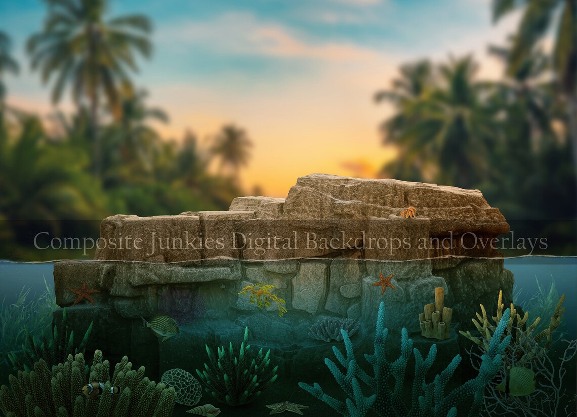 Tropical Island Digital Backdrop with Ocean Digital | Etsy