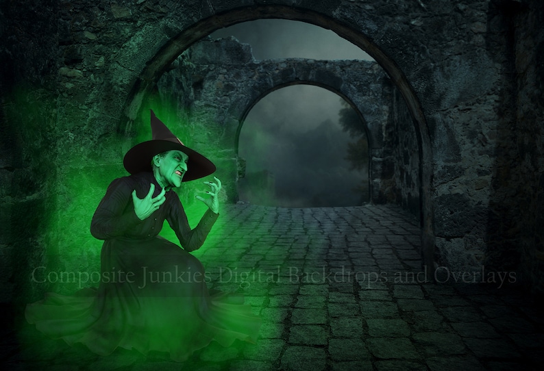 The Wonderful Wizard of Oz - Wicked Witch Digital Backdrop - Magic ...