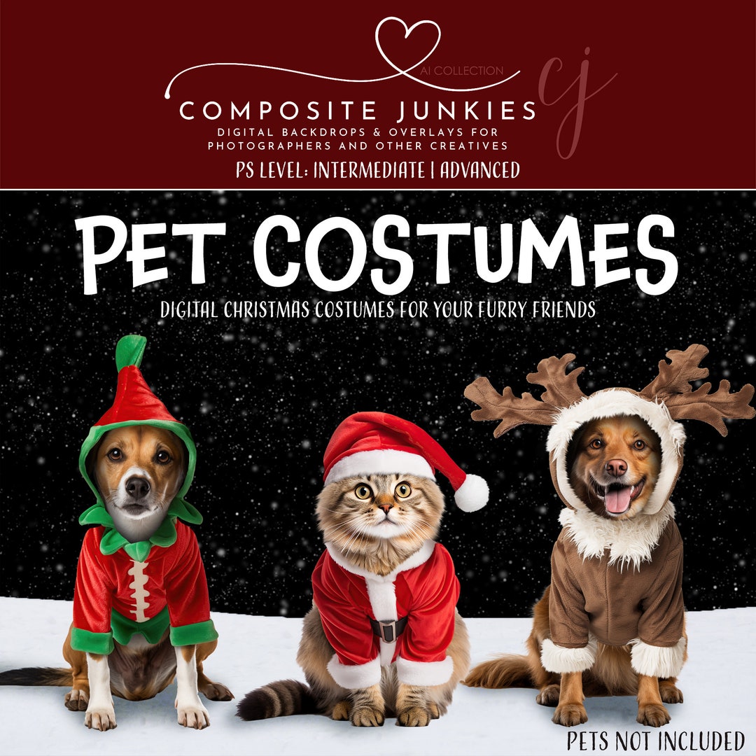 Christmas Digital Pet Portrait Costume Overlays, Santa Elf Reindeer ...