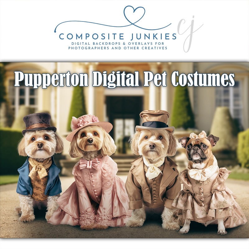 Regency Era Pet Portrait - Etsy