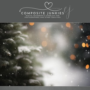 Christmas Tree Farm Bokeh Lights Digital Backdrop for Photo ...