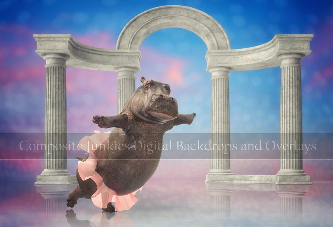 Hippo Dancing in Tutu Digital Background for Composite Imagery ...