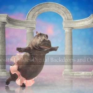 Hippo Dancing in Tutu Digital Background for Composite Imagery ...