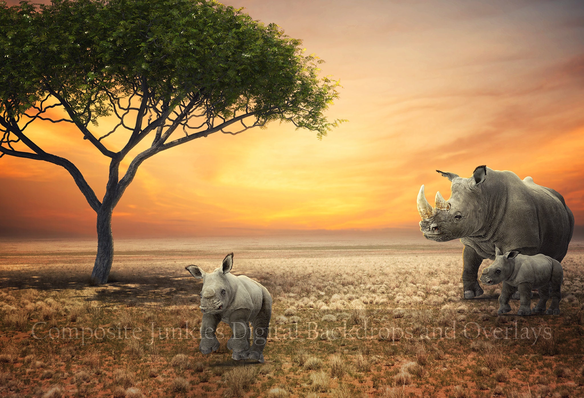 Rhino With Babies Digital Backdrop Background | Fun Mother's Day ...