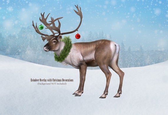 Reindeer Overlay Reindeer PNG Christmas Overlay | Etsy