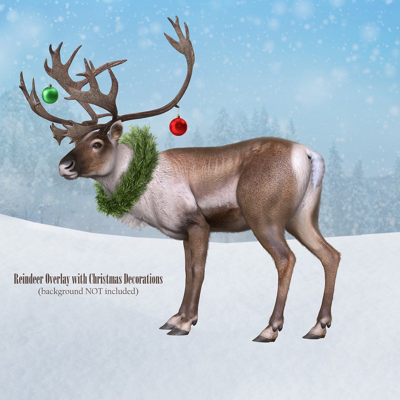 Reindeer Overlay - Etsy