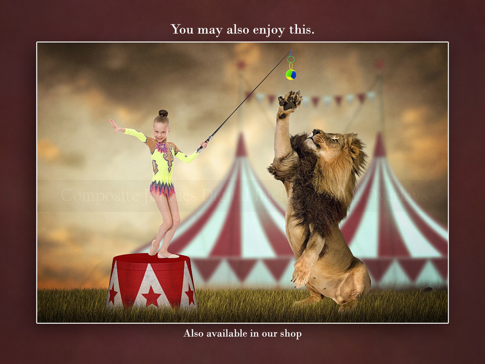 Magic Stage Digital Backdrop Background for Composite Photos - Etsy