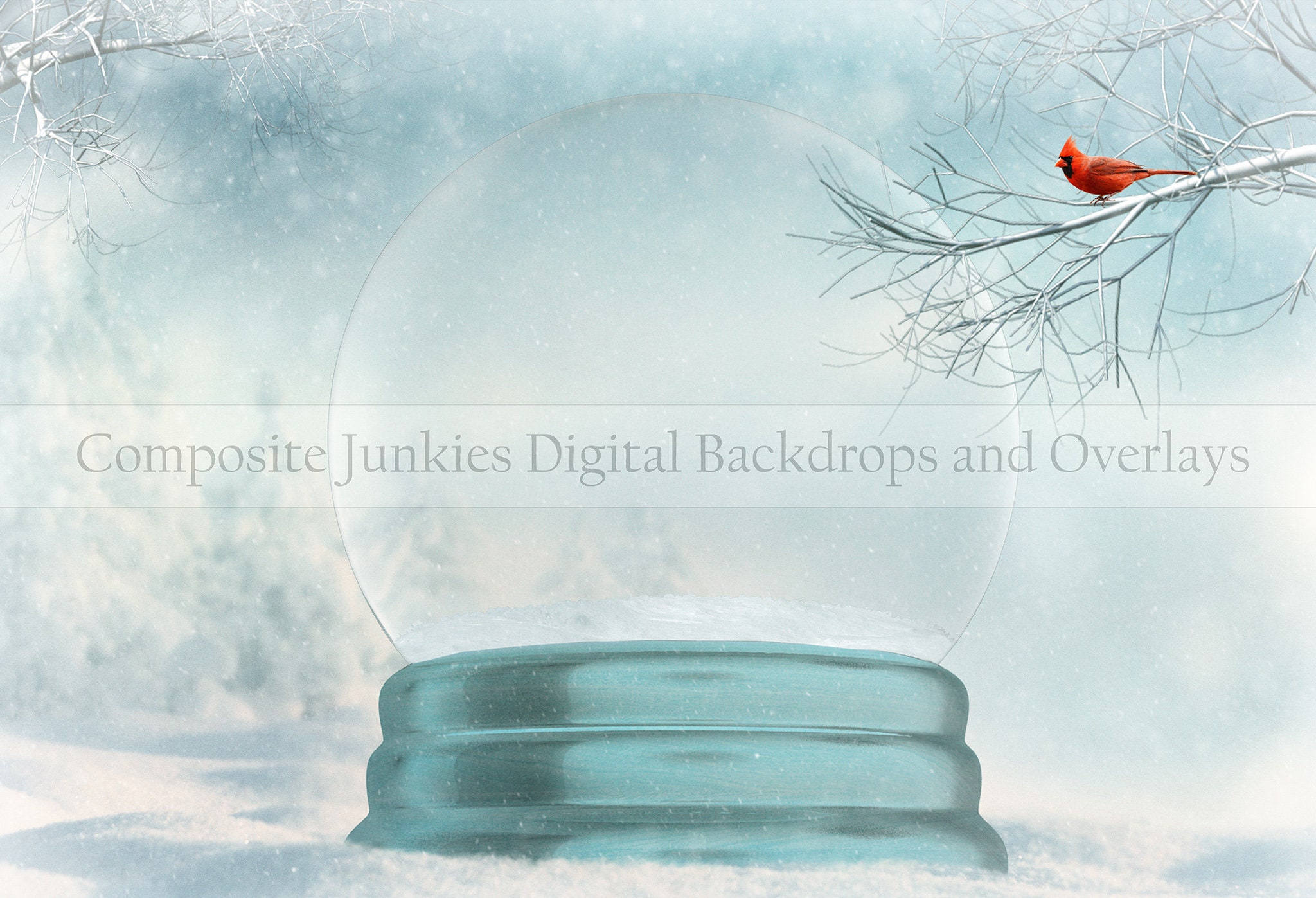 Winter Snow Globe Digital Backdrop Winter Backdrop Digital | Etsy