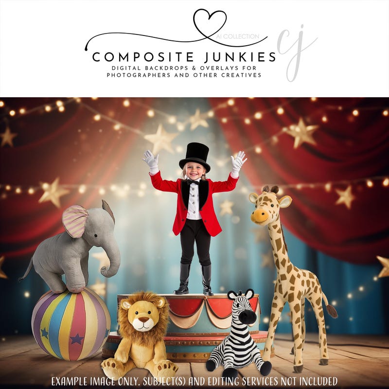 Circus Ringmaster - Etsy